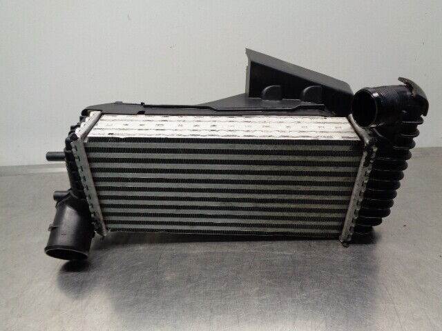 FORD TRANSIT CONNECT 2020 Radiator (intercooler) Man 6 Spd BV619L440CK ...